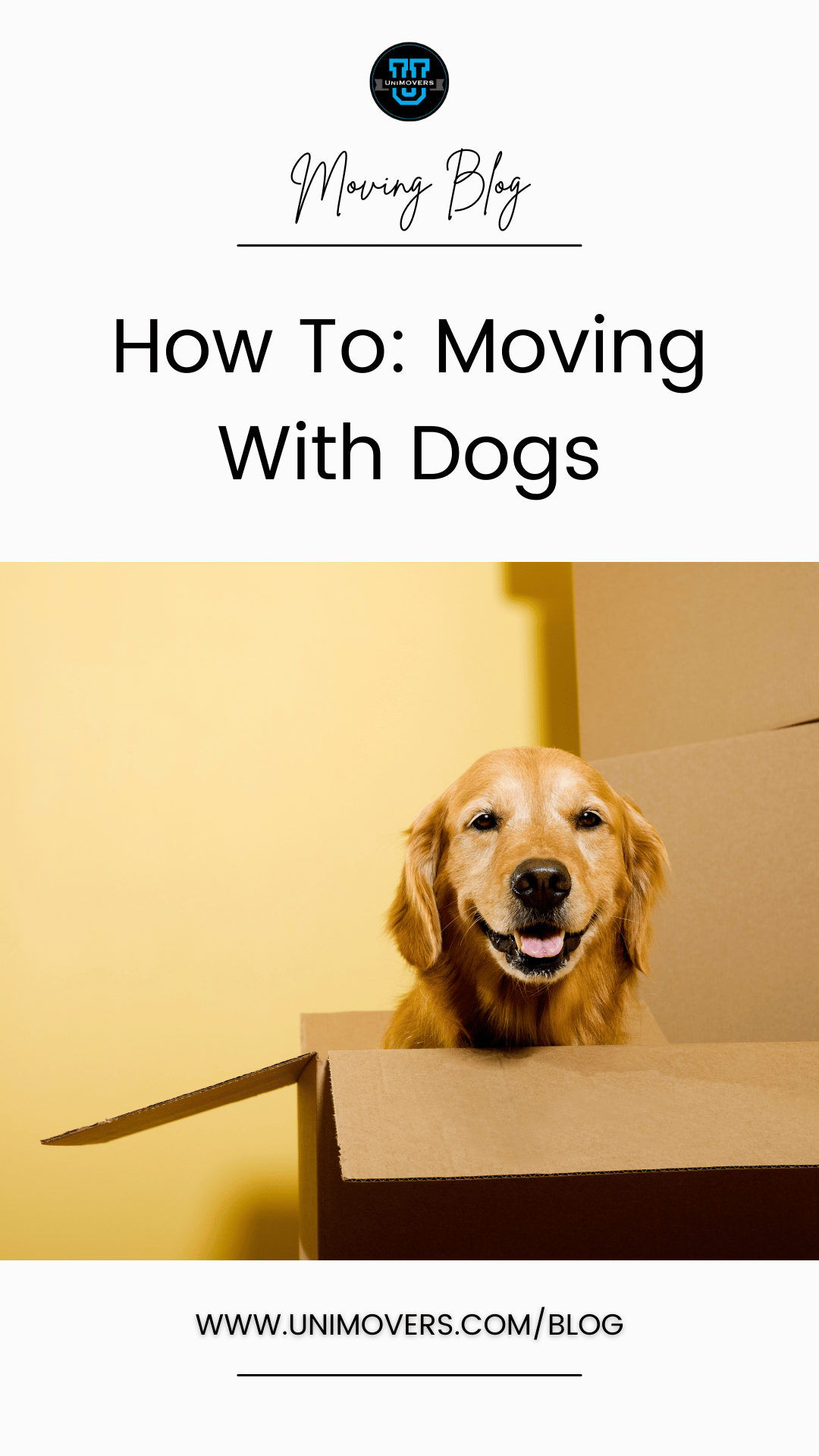 How To: Moving With Dogs • UniMovers